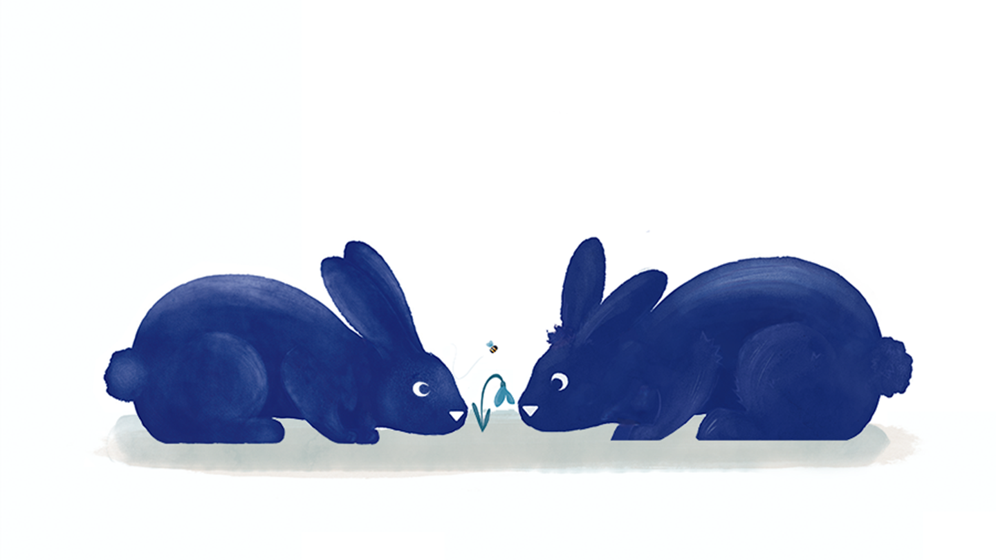 Sensory Issues In Your Pet | Medivet