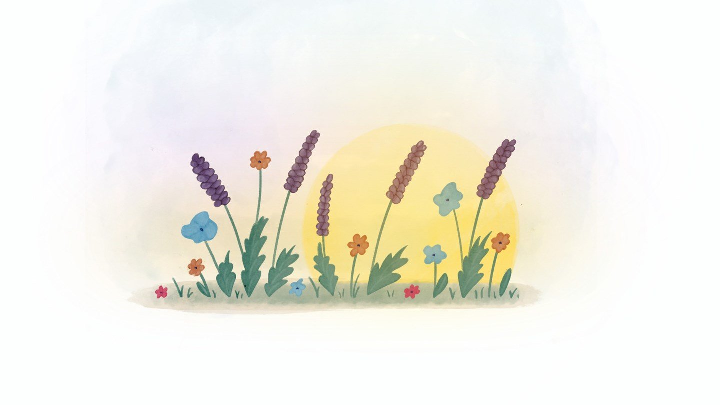 Our Spring Advice | Pet Care Advice | Medivet