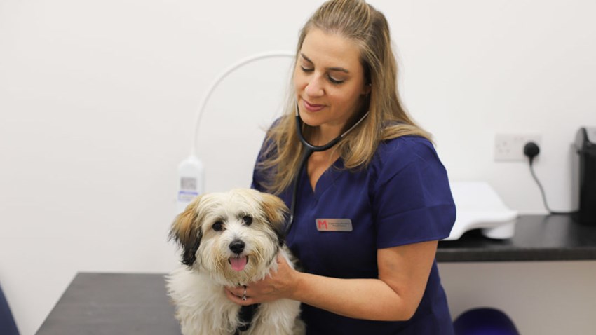 Join us as a Branch Partner | Complete Clinical Freedom | Medivet