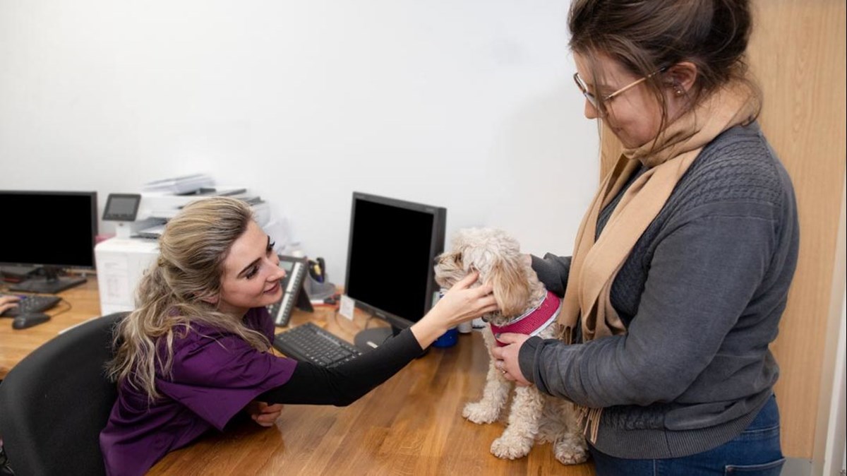 Join us as a Branch Partner | Complete Clinical Freedom | Medivet