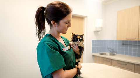 Vet in Littlehampton | Open Saturdays | Medivet