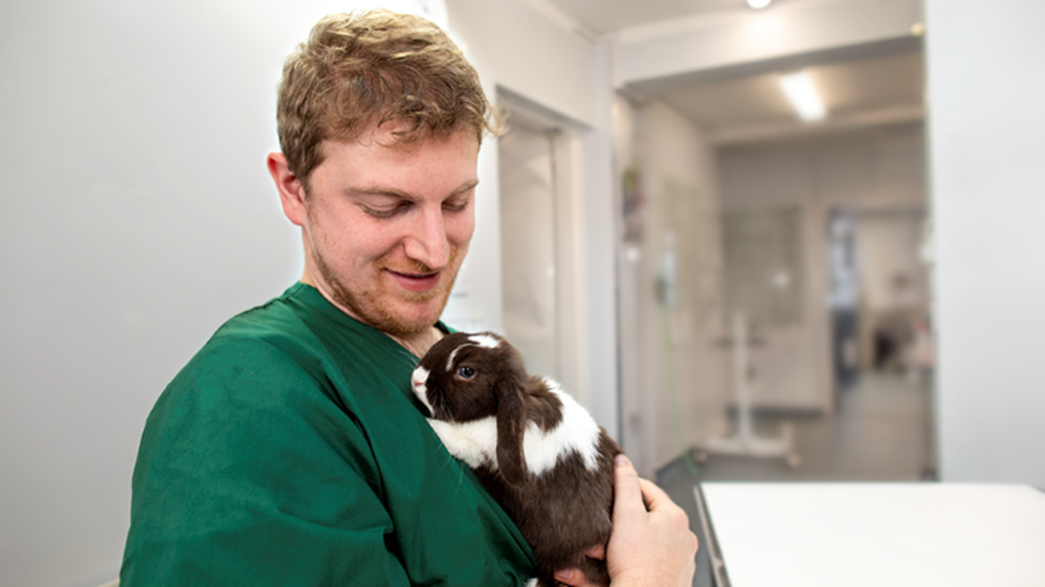 Endoscopy For Pets Near You | Medivet