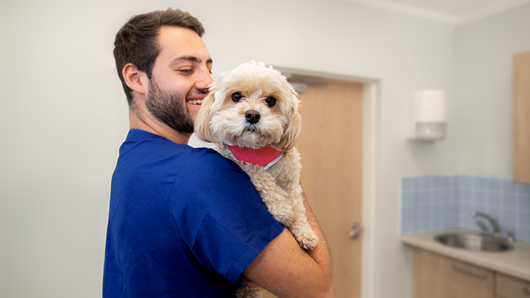 Register with Medivet | Medivet UK