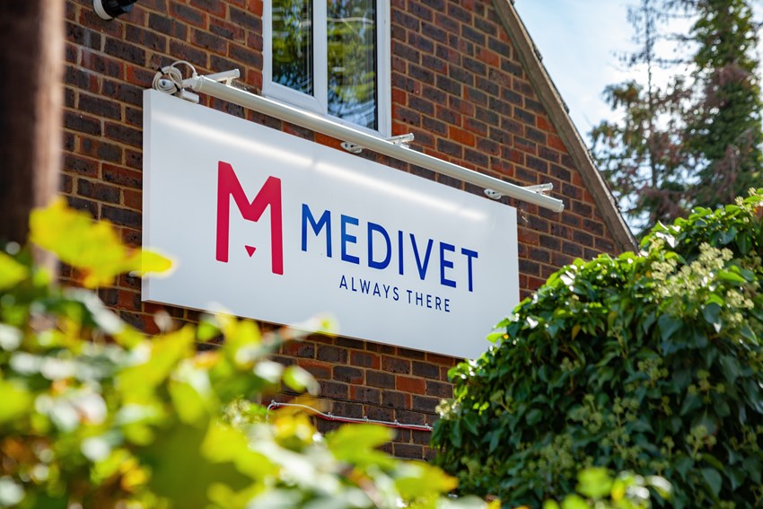 Join us as a Branch Partner | Complete Clinical Freedom | Medivet