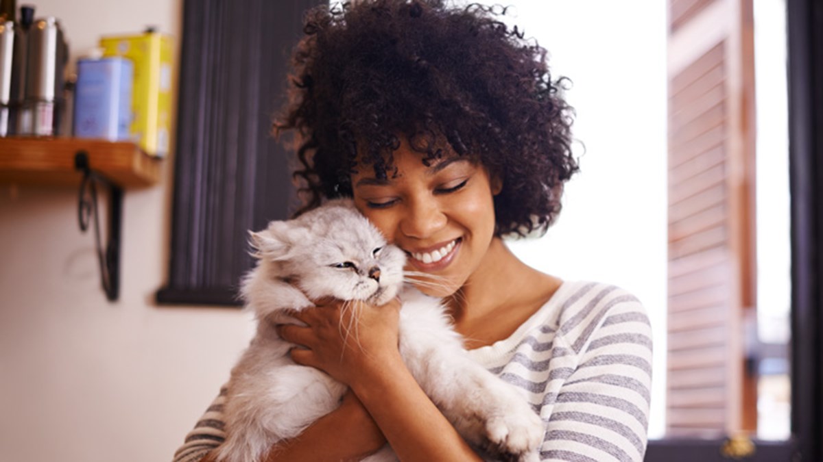 Cat Friendly Vet Clinic Near You | Cat Friendly Vets | Medivet