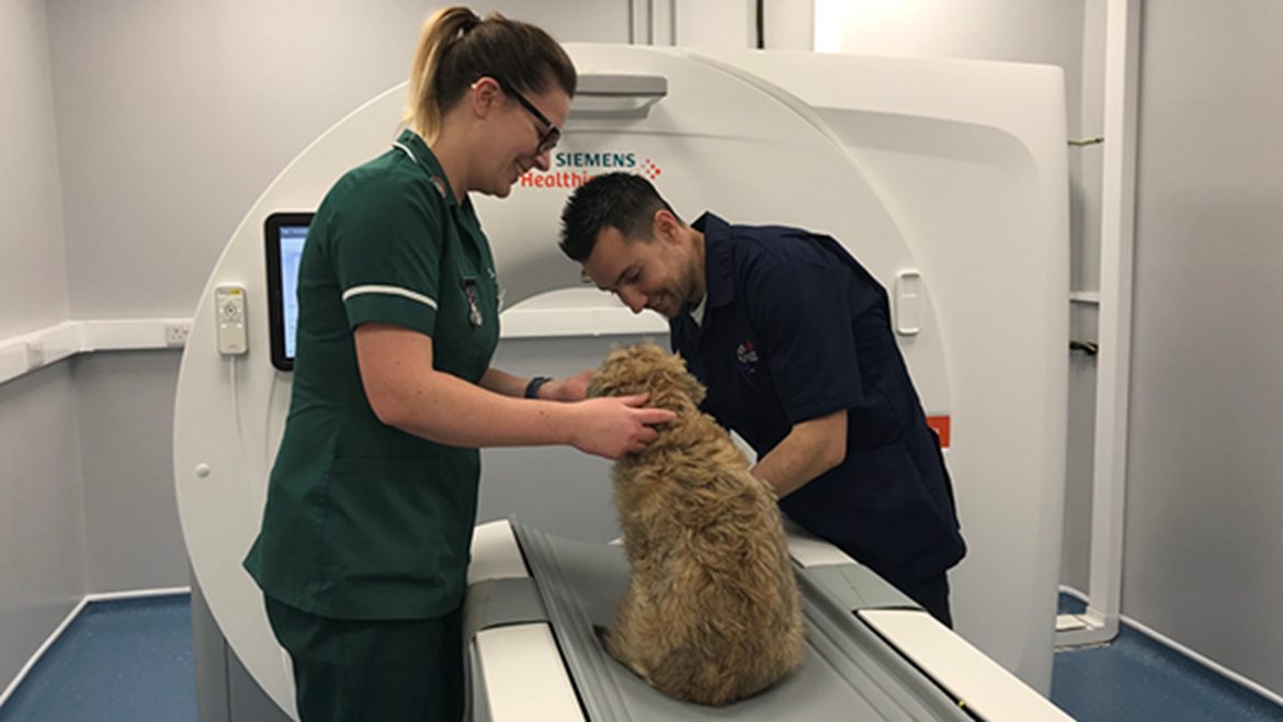 New CT Scanner in South Yorkshire Veterinary Practice