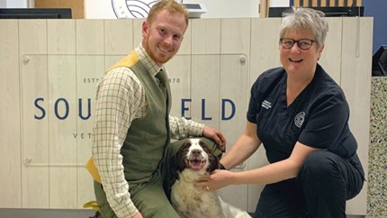 Medivet 24 Hour Dorchester | Dorchester Vet | Vet UK