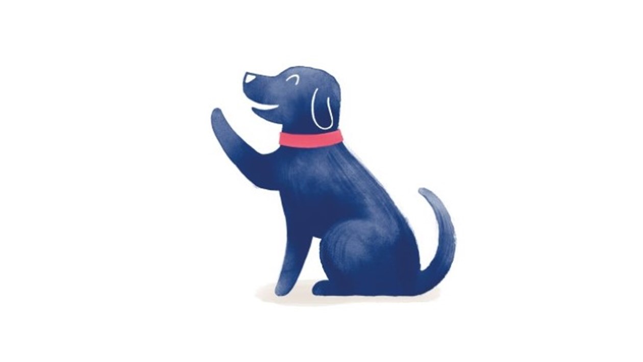 Vet in Crowthorne | Medivet