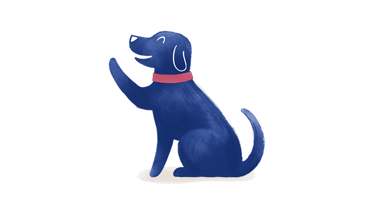 Vet in Southfields