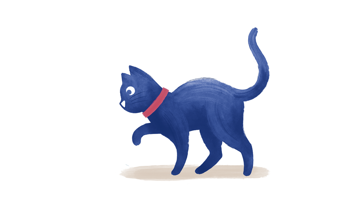 Vet in Exeter Cranbrook | Open Saturdays & Sundays | Medivet