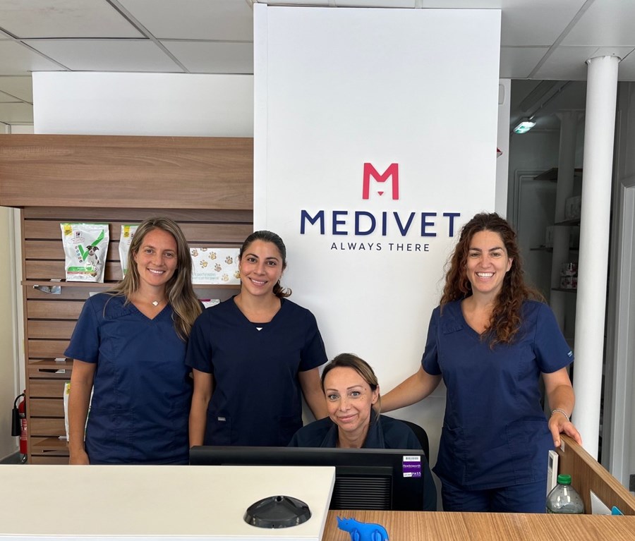 Vet in Barnes White Hart Ln | London Vets | Medivet