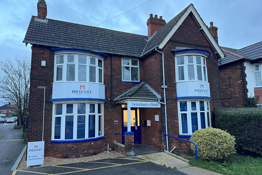 Vet in Ashby | Open Saturdays | Medivet