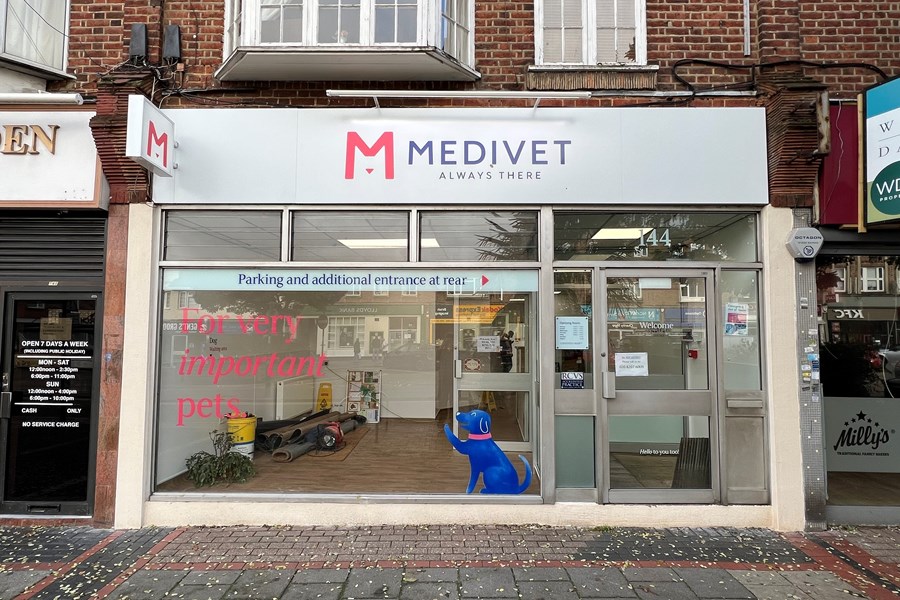 Vet in Borehamwood | Medivet