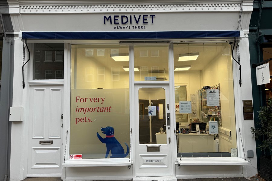 Vet in Clapham | Open Saturdays | Medivet