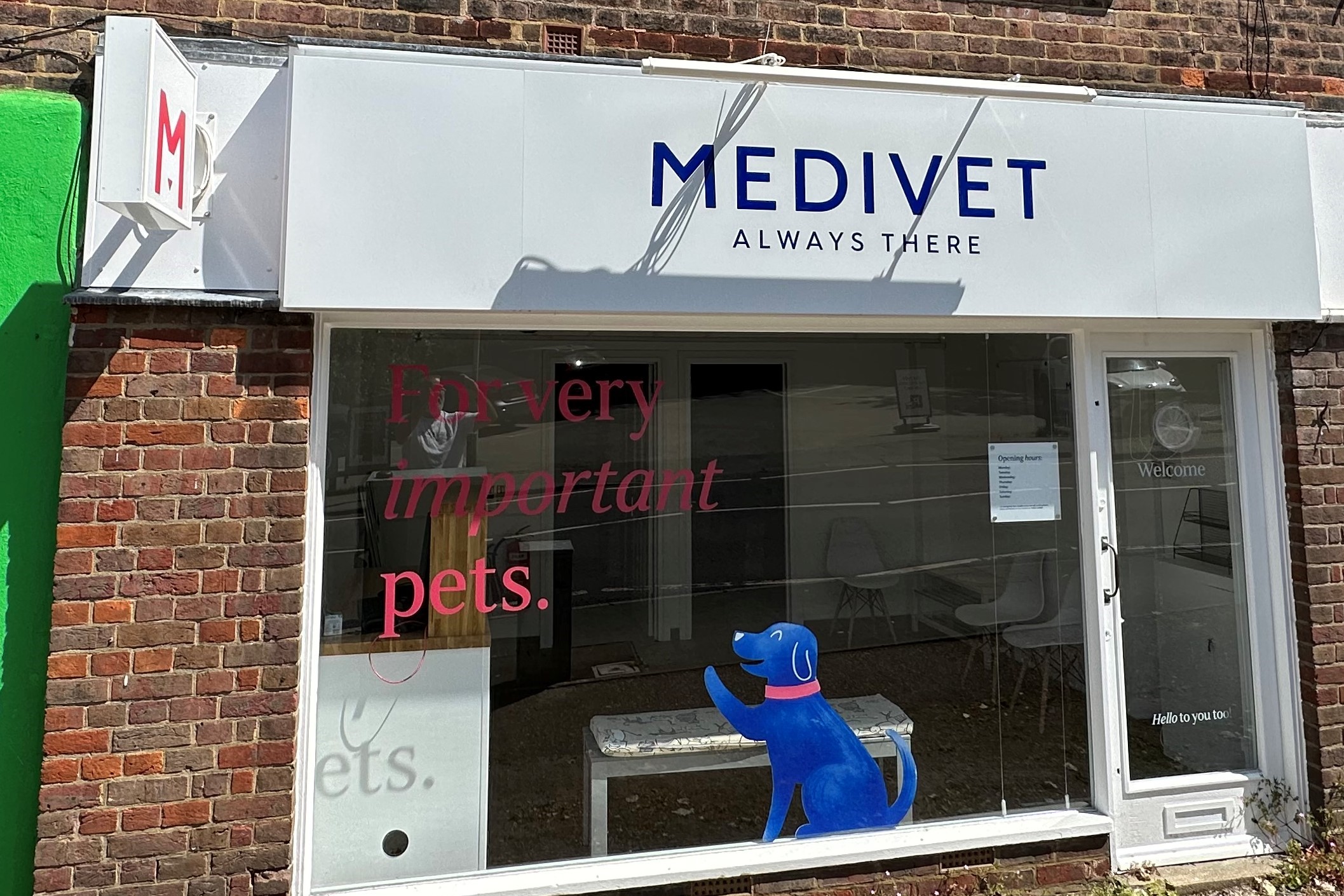 Vet in Harpenden | Medivet