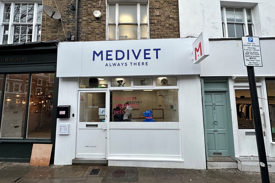 Vet in Islington Cross St | Open Saturdays | Medivet