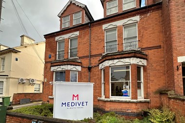 Vet in Loughborough | Medivet