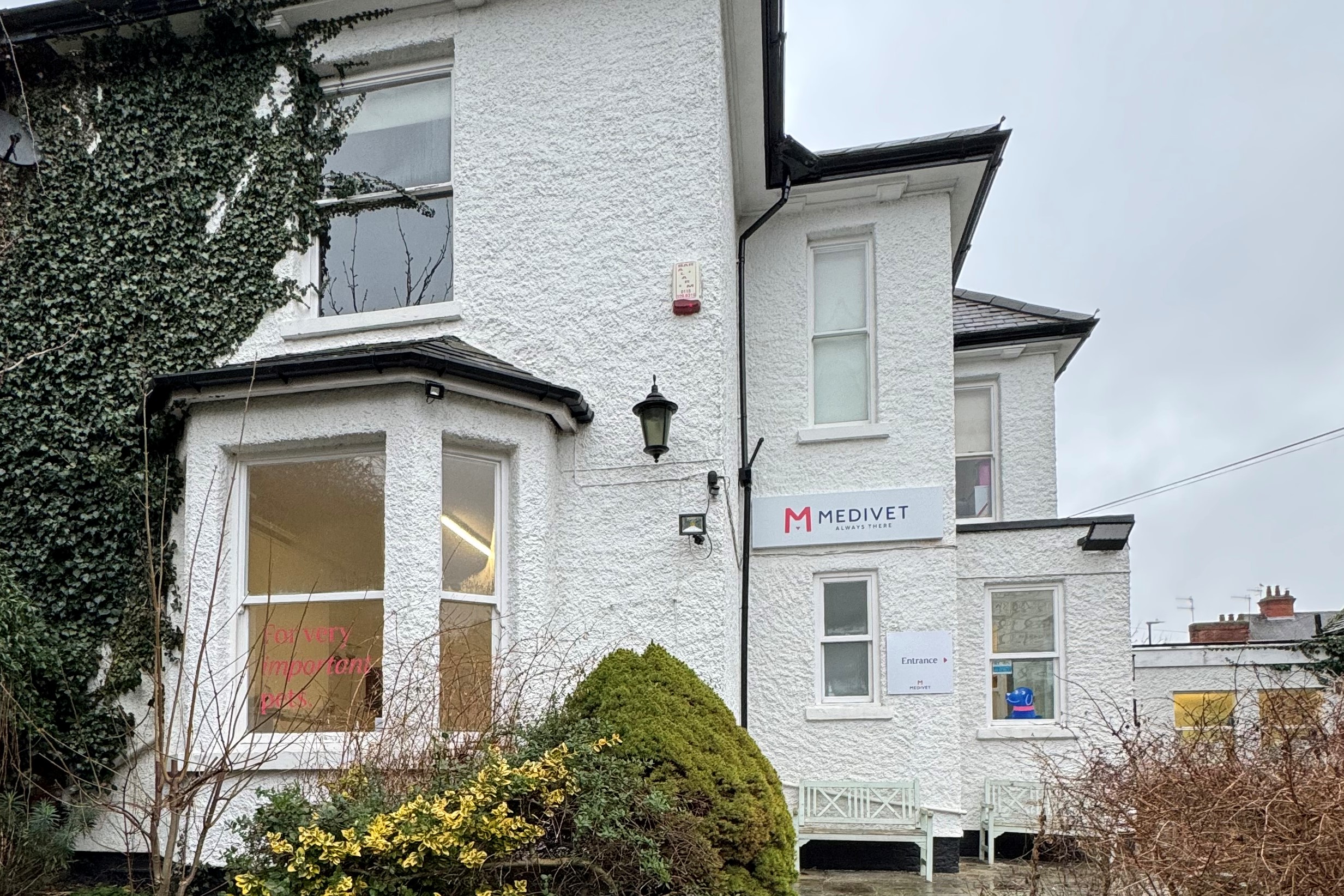 Vet in Sherwood | Open Saturdays | Medivet