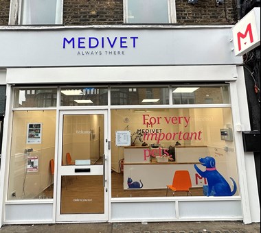 Vet in Stoke Newington | London Vets | Medivet