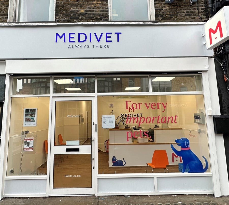 Vet in Stoke Newington | London Vets | Medivet