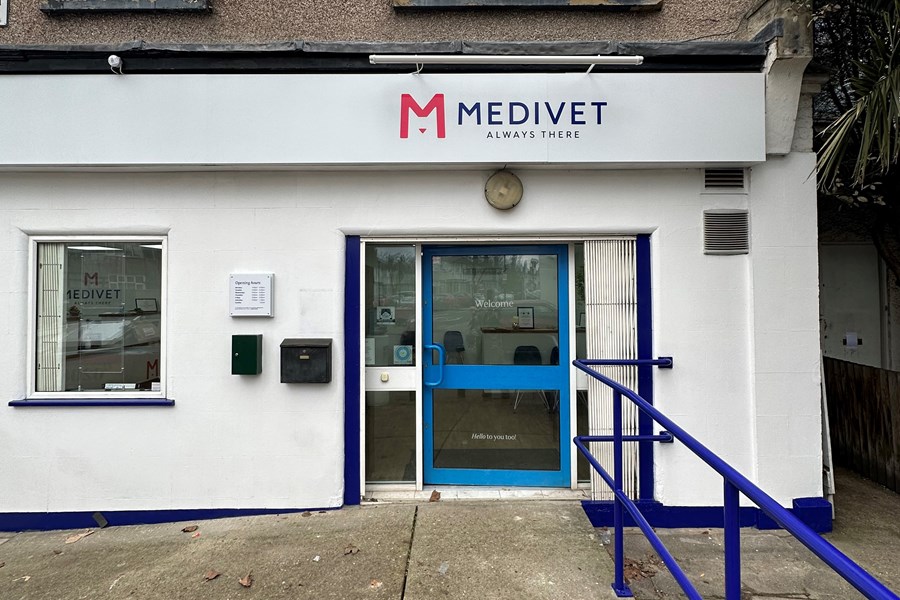 Vet in Streatham | Open Saturdays | Medivet