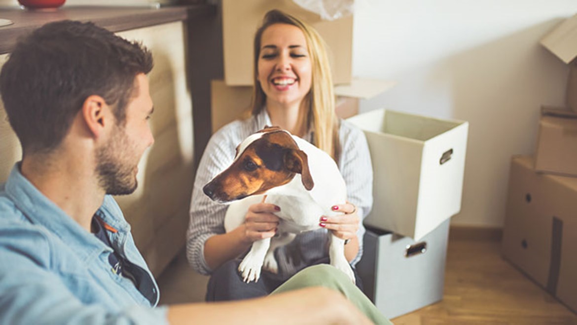 Moving House with your pet | Medivet UK