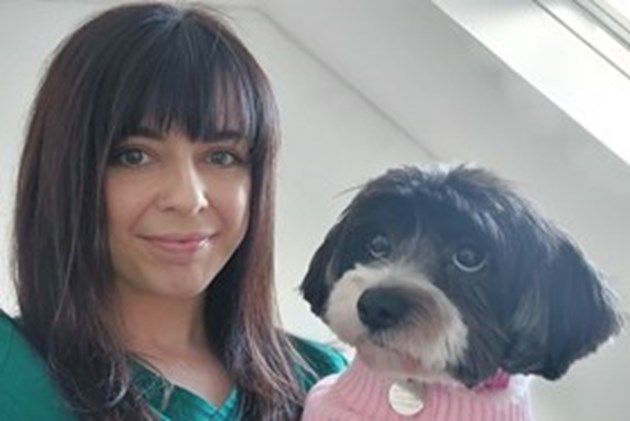 Vet in Salisbury | Open Saturdays | Medivet