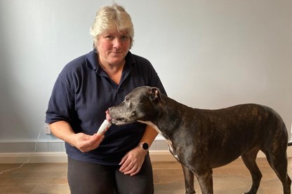 Vet in Salisbury | Open Saturdays | Medivet