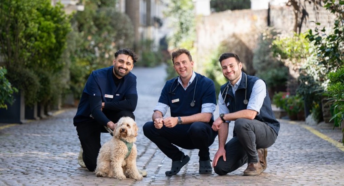 Find a Vet Near You | Emergency & 24 Hour Vets | Medivet