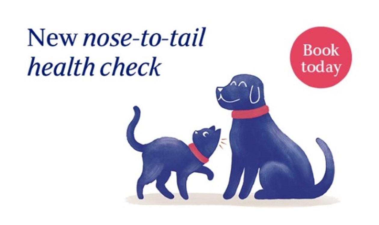 Vet in Burton-on-trent | Open Saturdays | Medivet